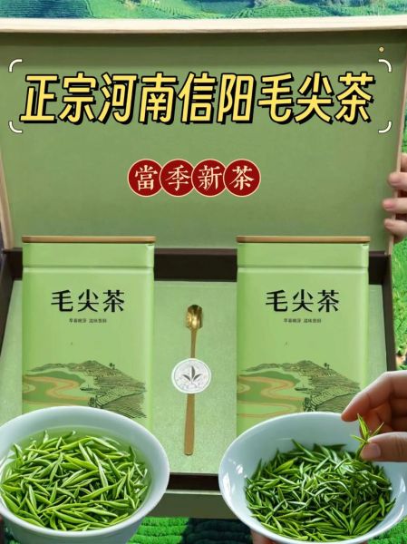 信阳毛尖哪个牌子最正宗_如何辨别真假信阳毛尖-第1张图片-山城妙识