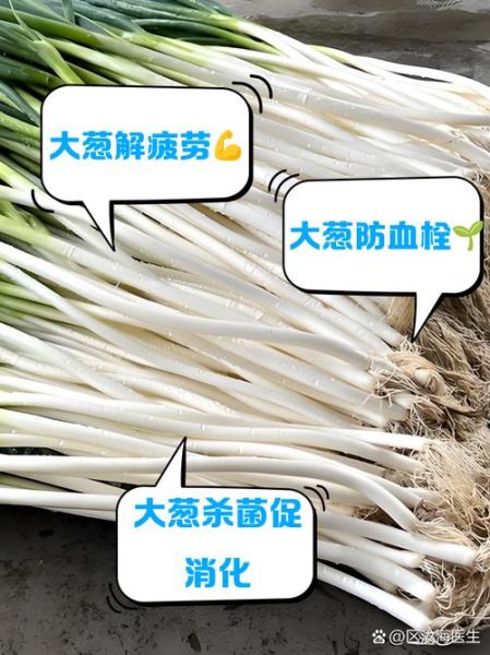 生吃大葱的功效与作用_生吃大葱的营养价值-第1张图片-山城妙识