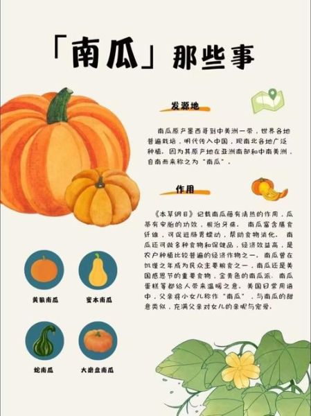 南瓜英语怎么读音播放_南瓜英语发音技巧-第3张图片-山城妙识