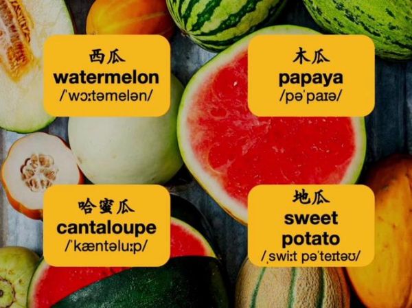 南瓜英语怎么读音播放_南瓜英语发音技巧-第1张图片-山城妙识