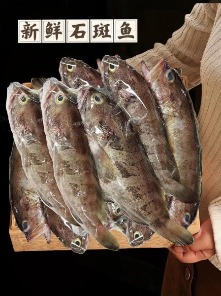 野生小石斑鱼怎么做好吃_清蒸还是红烧-第2张图片-山城妙识