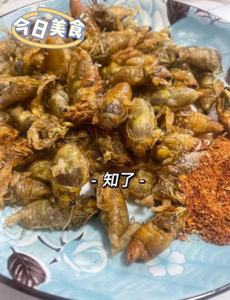 知了猴怎么保存_知了猴的做法大全家常-第1张图片-山城妙识