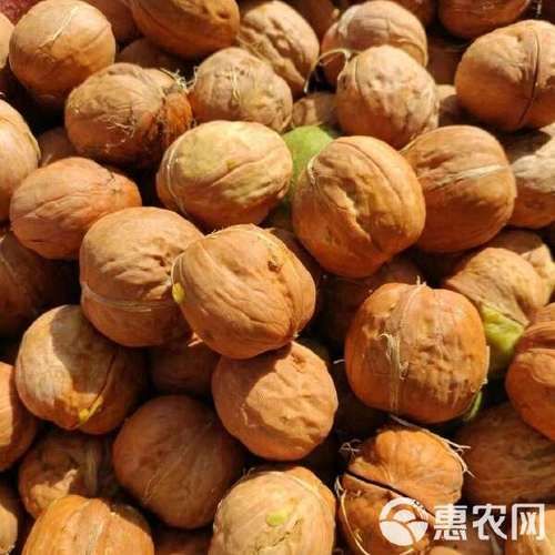 鲜核桃怎么吃图解_鲜核桃去青皮妙招-第3张图片-山城妙识