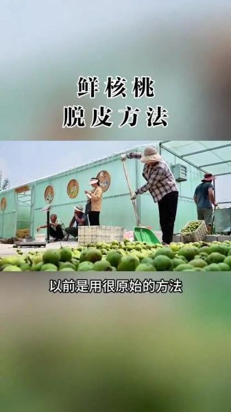 鲜核桃怎么吃图解_鲜核桃去青皮妙招-第1张图片-山城妙识