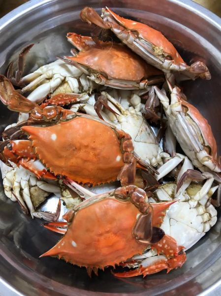 清蒸大闸蟹怎么做_蒸几分钟才刚好-第3张图片-山城妙识