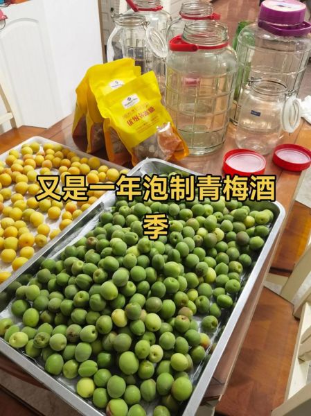 青梅酒不能和什么一起吃_青梅酒禁忌人群有哪些-第3张图片-山城妙识