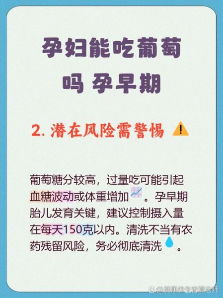 孕妇能吃葡萄吗初期_怀孕前三个月吃葡萄安全吗-第3张图片-山城妙识