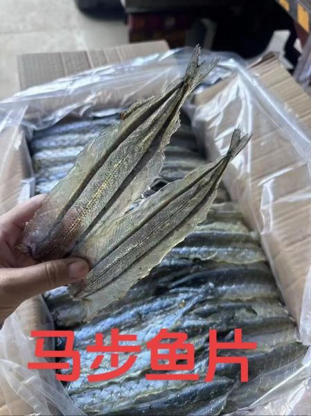 马步鱼是什么鱼_马步鱼图片怎么辨认-第1张图片-山城妙识