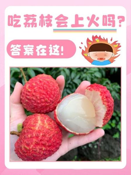 荔枝一天吃多少合适_吃多了会上火吗-第1张图片-山城妙识