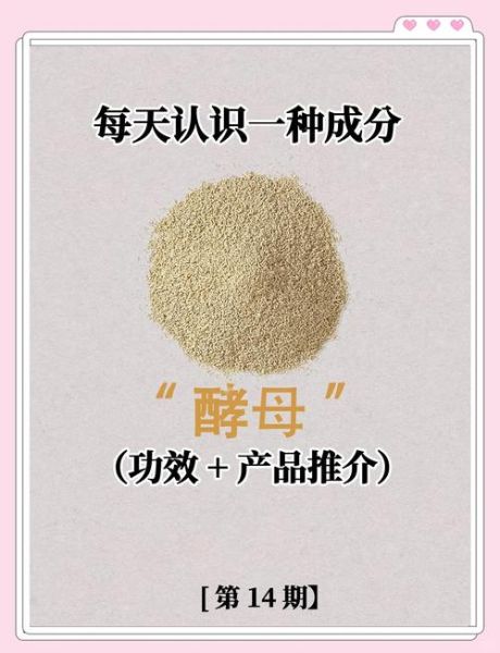 酵母读音怎么读_酵母的正确拼音是什么-第3张图片-山城妙识