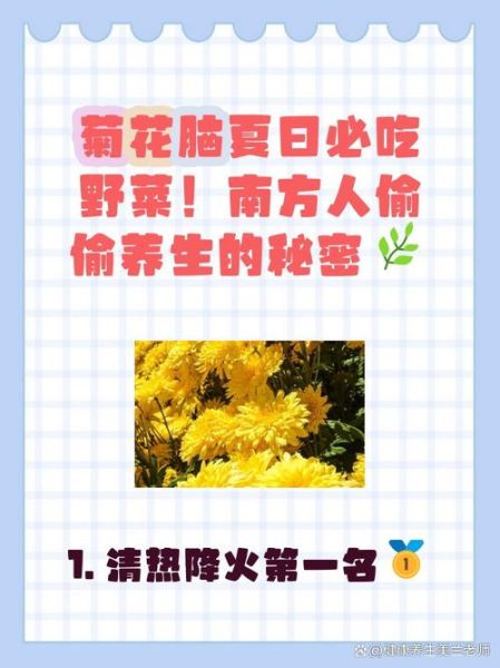 菊花脑的功效与作用_菊花脑怎么吃最好-第3张图片-山城妙识