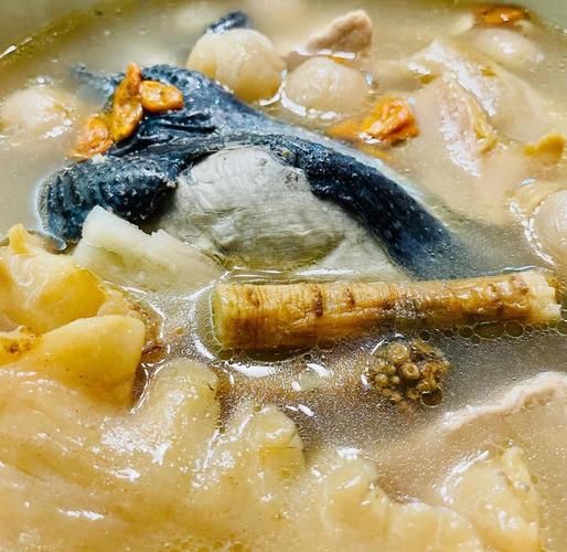 响螺花胶煲鸡汤的做法_花胶响螺汤怎么煲才浓白-第1张图片-山城妙识