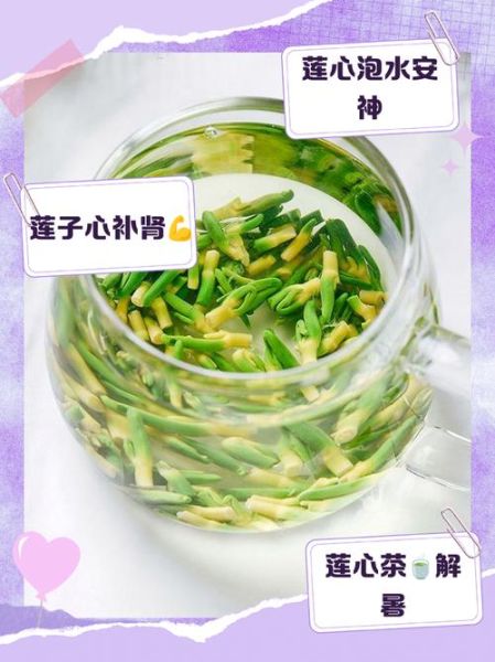 莲子心和什么搭配泡水喝最好_莲子心泡水喝的正确方法-第2张图片-山城妙识