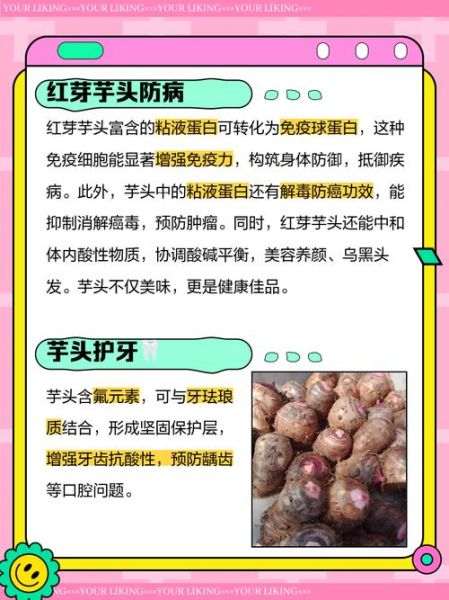 红芽芋头有什么功效_红芽芋头适合什么人吃-第1张图片-山城妙识