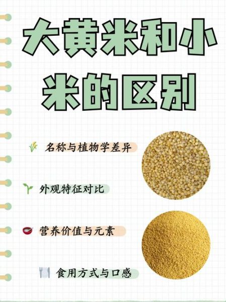 黍子和小米的区别_哪个更营养-第2张图片-山城妙识