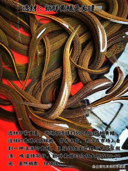 黄鳝怎么做好吃_黄鳝最好吃的做法-第3张图片-山城妙识