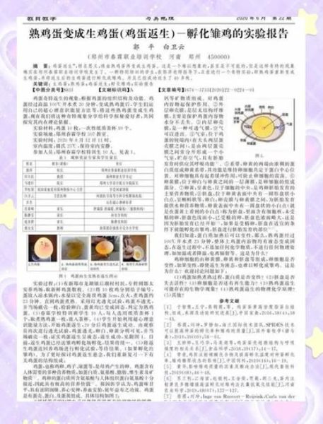 鸡蛋返生是真的吗_鸡蛋返生实验原理-第1张图片-山城妙识