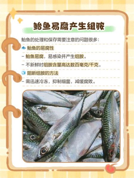 鲐鱼的营养价值_鲐鱼的功效与作用-第2张图片-山城妙识