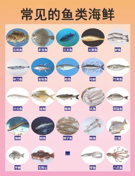 刺身鱼种类有哪些_刺身鱼图片怎么识别-第1张图片-山城妙识