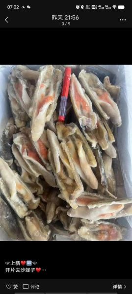 竹蛏王怎么挑选_竹蛏王和竹蛏的区别-第2张图片-山城妙识