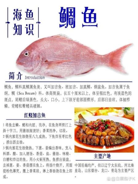 海鱼儿怎么养_海鱼儿吃什么-第1张图片-山城妙识