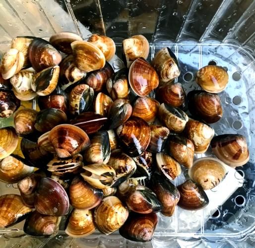 蛤蜊疙瘩汤怎么做_蛤蜊疙瘩汤的家常做法-第3张图片-山城妙识