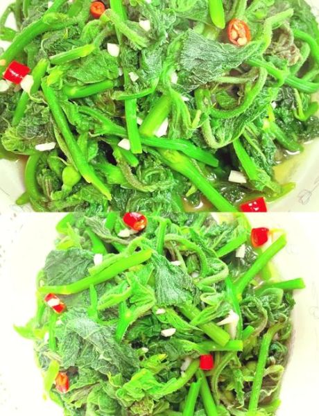 菜尖怎么炒好吃_菜尖做法大全家常做法-第3张图片-山城妙识