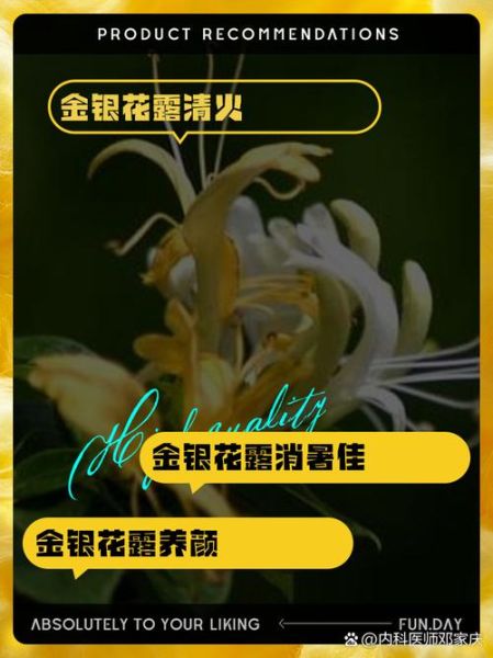 金银花露小说讲了什么_金银花露小说好看吗-第1张图片-山城妙识