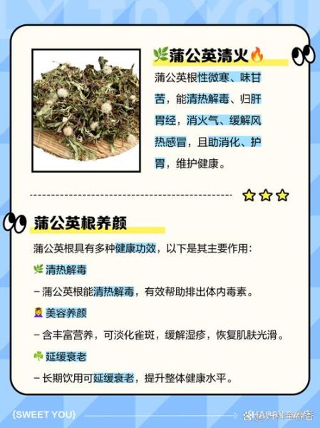 蒲公英根泡水一天用量_蒲公英根一天喝几次-第1张图片-山城妙识