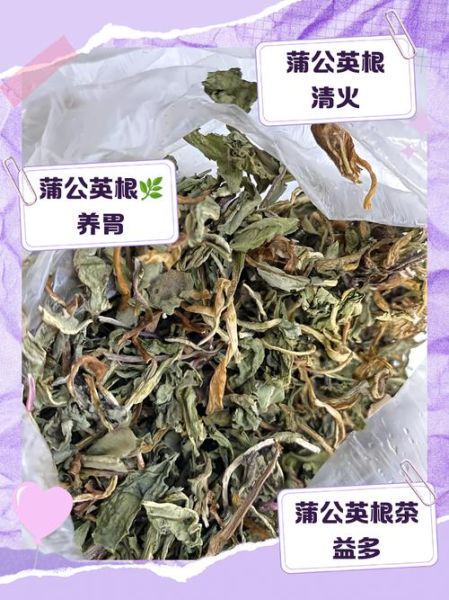 蒲公英根泡水一天用量_蒲公英根一天喝几次-第2张图片-山城妙识