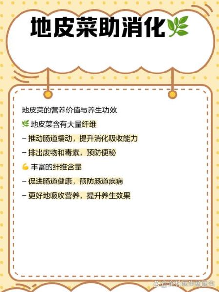 地皮菜是什么菜_地皮菜和木耳菜的区别-第3张图片-山城妙识