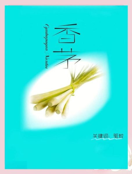 香茅醇对皮肤有什么好处_香茅醇驱蚊效果好吗-第1张图片-山城妙识