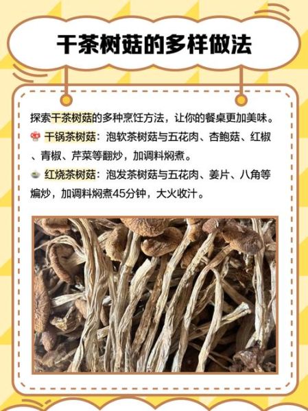 干茶树菇怎么煮才会烂_茶树菇快速软烂技巧-第3张图片-山城妙识