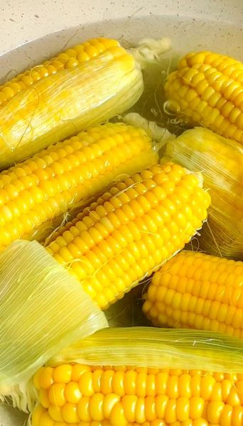 煮玉米需要放什么调料_玉米怎么煮才香甜-第1张图片-山城妙识 煮玉米需要放什么调料_玉米怎么煮才香甜-第1张图片-山城妙识