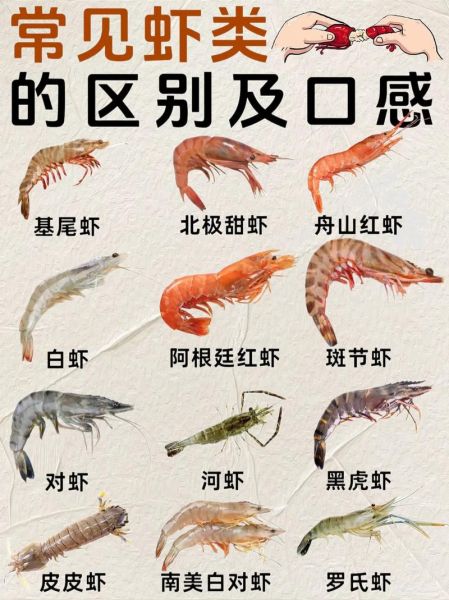 虾的种类图片大全_常见虾类如何区分-第1张图片-山城妙识