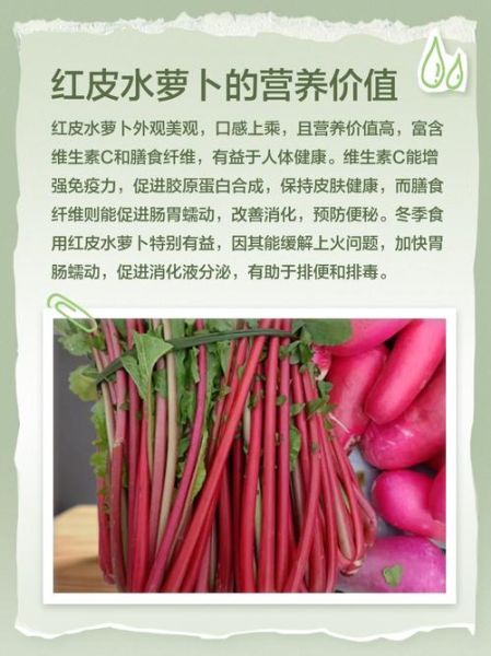 红皮萝卜能治痛风吗_痛风吃红皮萝卜有用吗-第2张图片-山城妙识