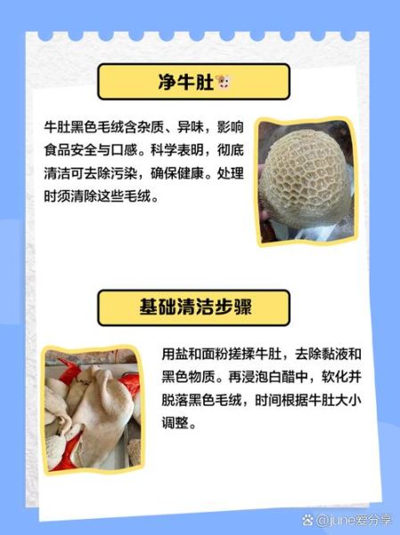 黑毛肚和牛肚的区别_哪个更好吃-第3张图片-山城妙识