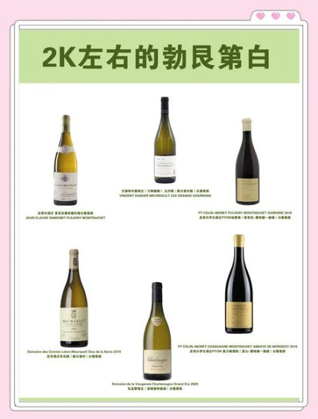 干白葡萄酒怎么喝_干白葡萄酒配什么菜-第3张图片-山城妙识