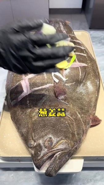 鸦片鱼头为什么比鱼身贵_鸦片鱼头价格高的原因-第3张图片-山城妙识