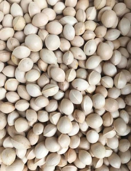 白果要煮多久才没有毒_白果去毒煮法-第1张图片-山城妙识