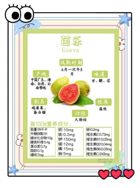 芭乐汁可以每天喝吗_芭乐汁功效与作用禁忌-第1张图片-山城妙识