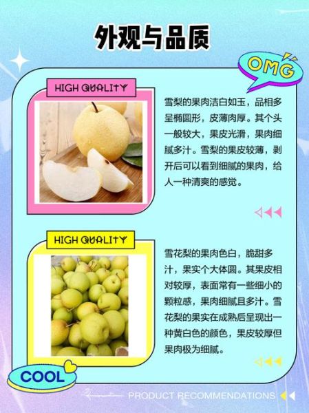 雪梨和鸭梨的区别图片_哪个更甜-第2张图片-山城妙识