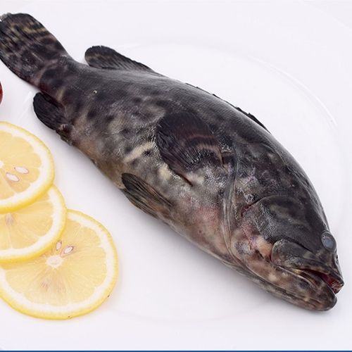 红星石斑鱼多少钱一斤_红星石斑鱼怎么做好吃-第2张图片-山城妙识