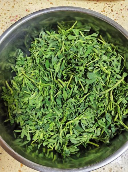 苜蓿菜怎么吃_苜蓿菜的家常做法-第1张图片-山城妙识