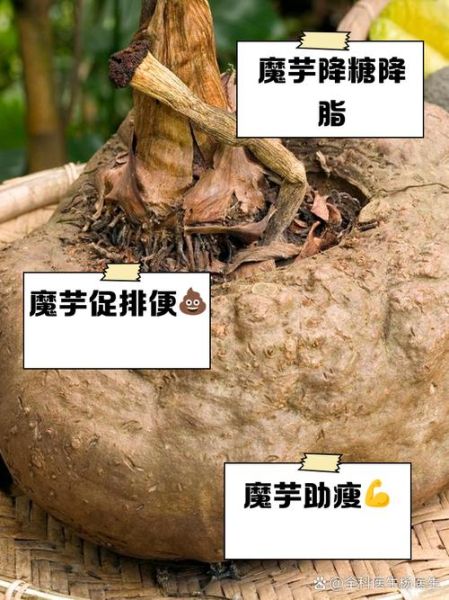 魔芋花的功效与作用_魔芋花怎么吃-第1张图片-山城妙识