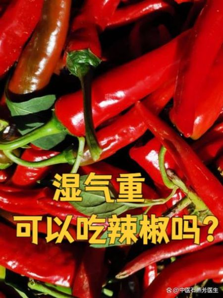 辣椒的功效与作用_吃辣椒会上火吗-第1张图片-山城妙识