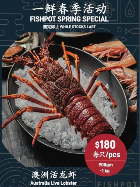 澳洲龙虾多少钱一斤_澳洲龙虾怎么做好吃-第1张图片-山城妙识