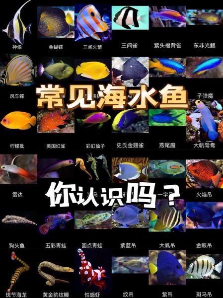 淡水鱼种类有哪些_海水鱼名字大全-第2张图片-山城妙识