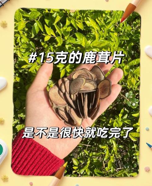 鹿茸片最简单的吃法_鹿茸片怎么吃效果最好-第1张图片-山城妙识