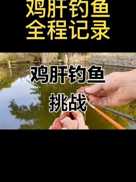 鸡肝钓鱼效果如何_鸡肝钓什么鱼最好-第1张图片-山城妙识